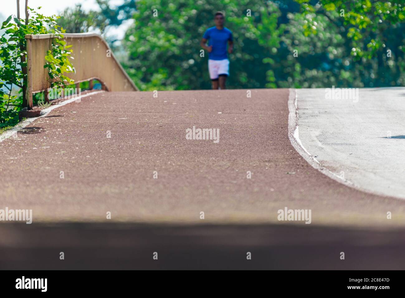 Athletic young man running on the race track in a sports park Stock ...