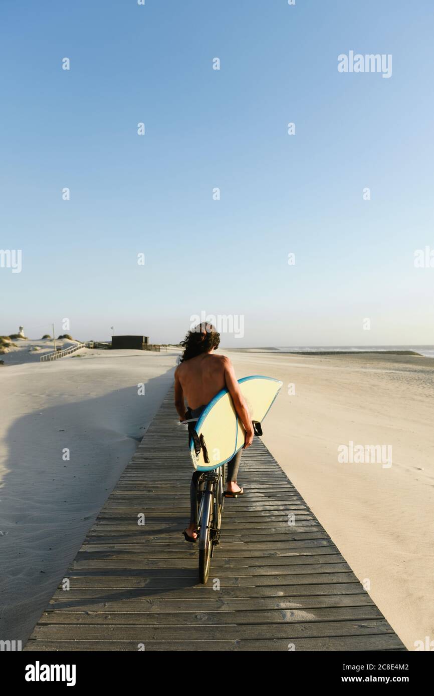 Surfer riding a bicycle during the sunset, holding surf board Stock ...