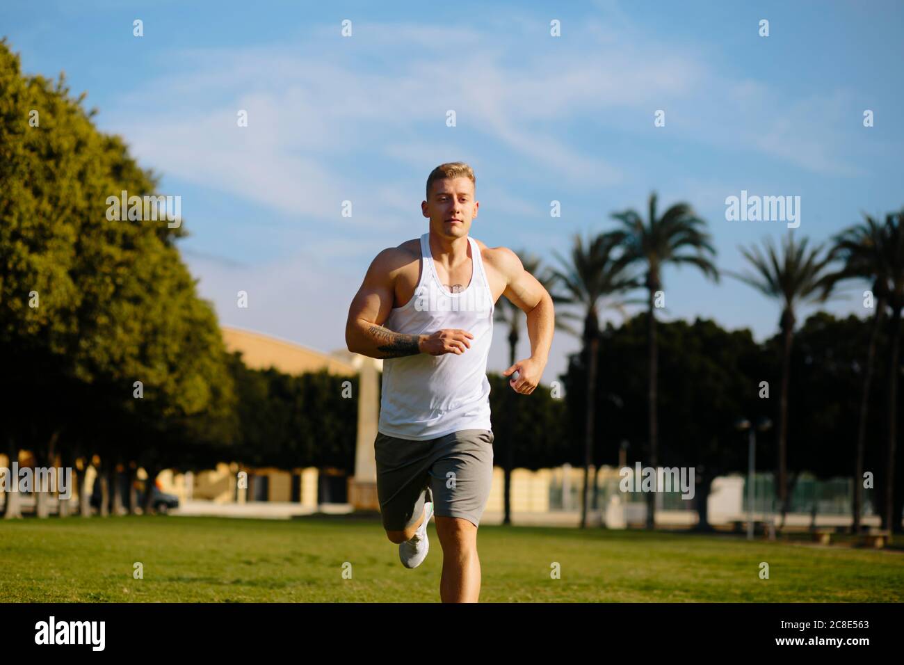 Young muscular athlete male running hi-res stock photography and images ...