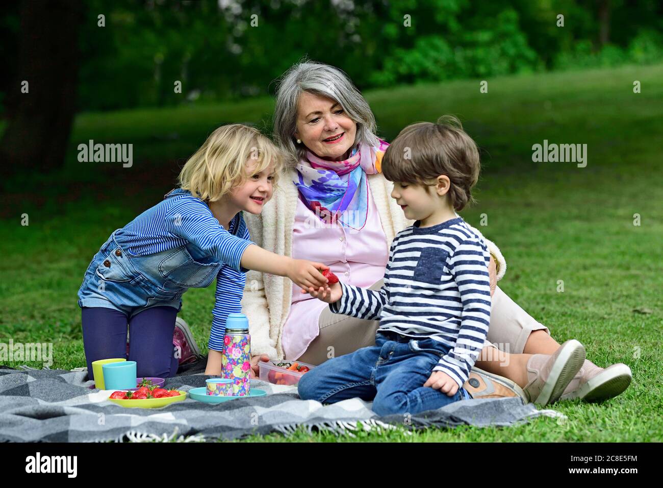 Girl giving strawberry to brother while sitting with grandmother at ...