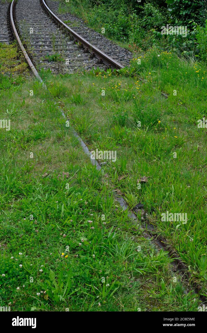Overgrown railroad hi-res stock photography and images - Alamy