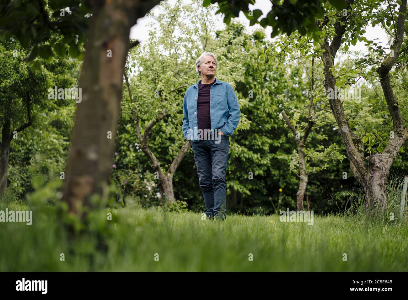 Man standing in a garden hi-res stock photography and images - Alamy