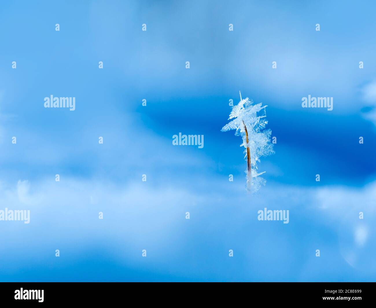 Small ice crystals Stock Photo - Alamy