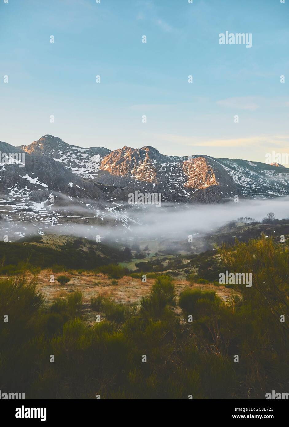 Sky leon hi-res stock photography and images - Alamy