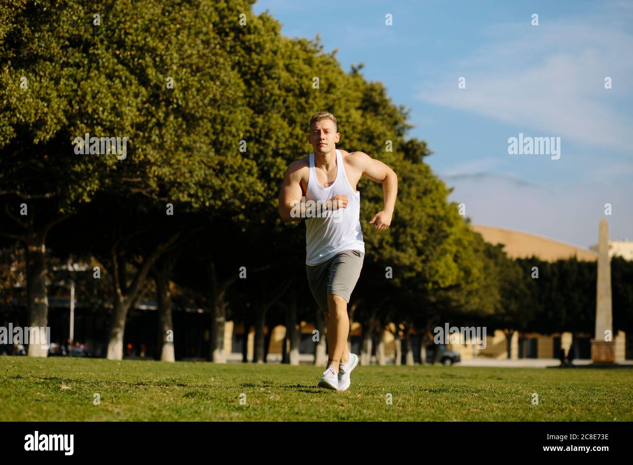 Male athlete running on grassy land in park during sunny day Stock ...