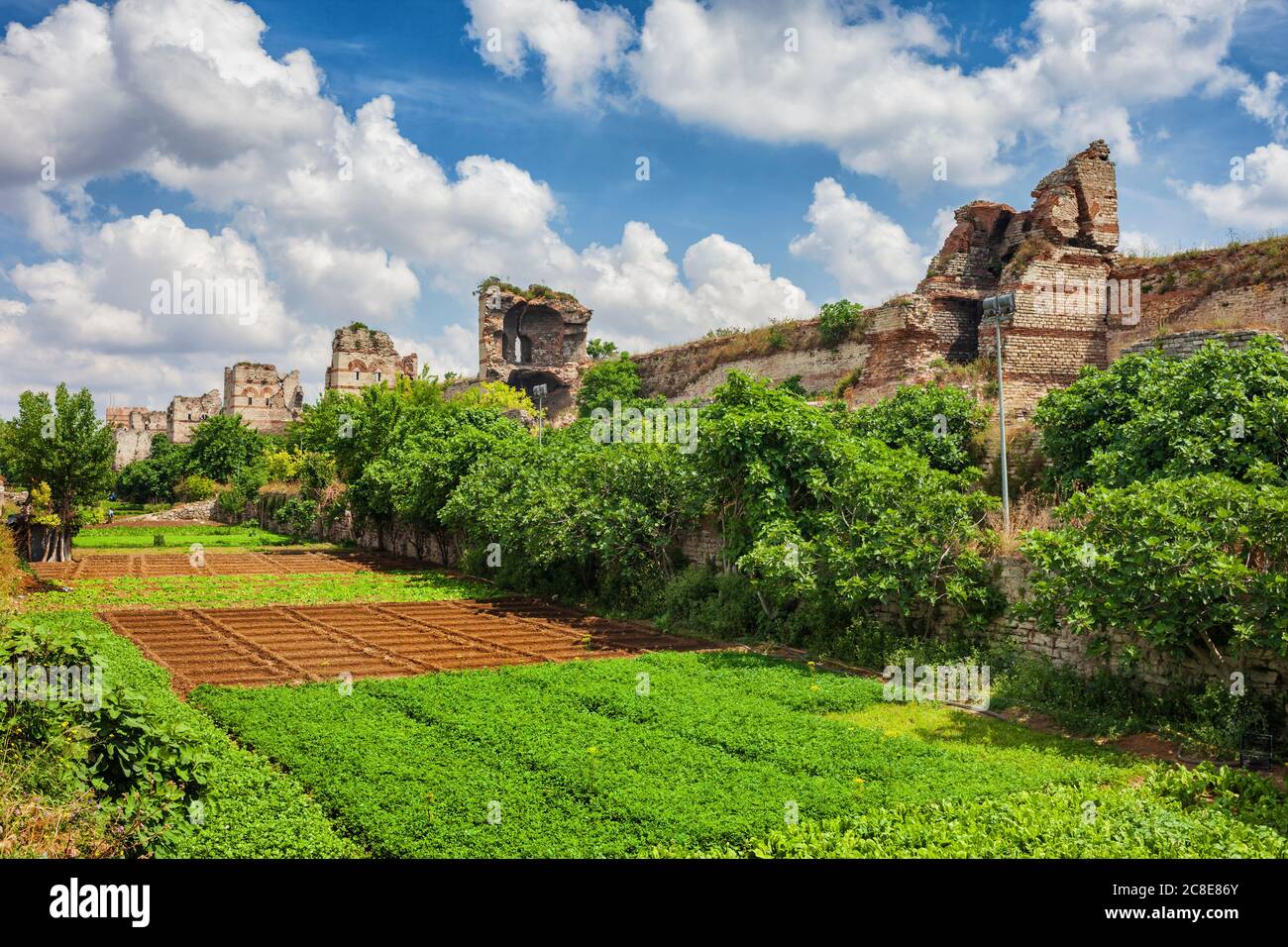 Turkey, Istanbul, Vegetable gardens in front of Walls of Constantinople ...