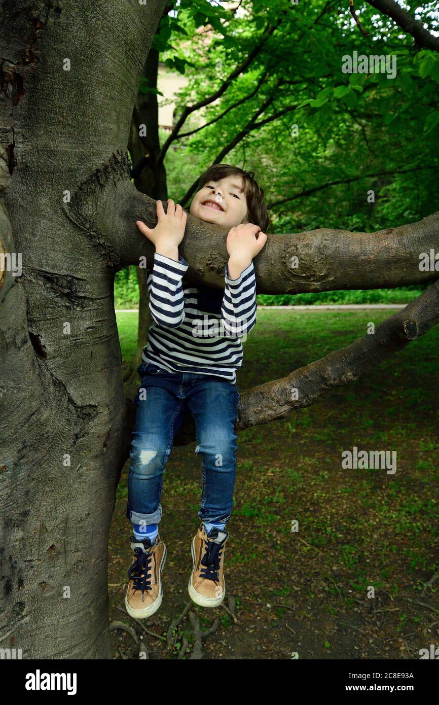 Smiling cute boy sitting on tree branch at park Stock Photo - Alamy