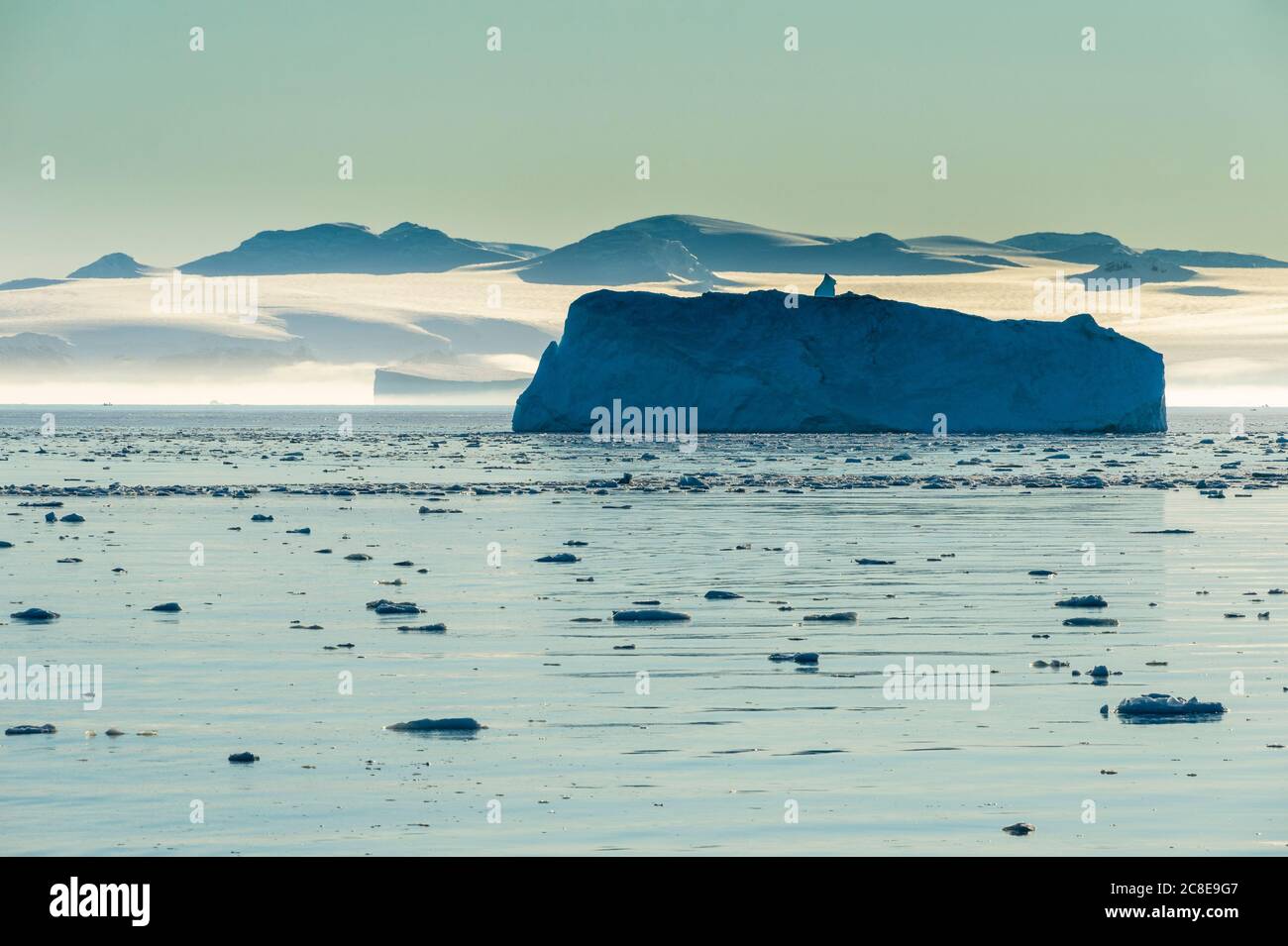 Iceberg in hope bay hi-res stock photography and images - Alamy