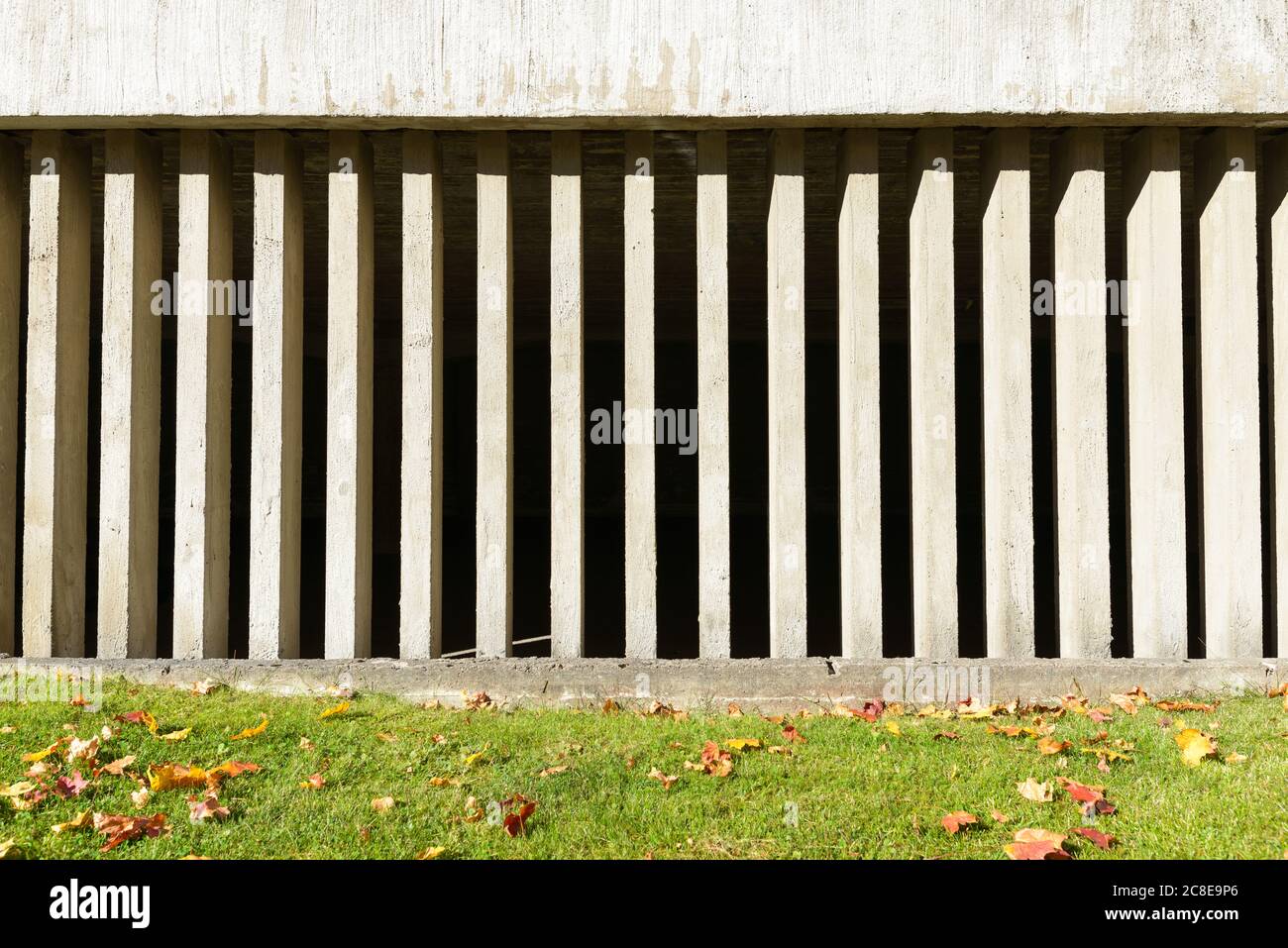 Concrete cement lines texture hi-res stock photography and images - Alamy