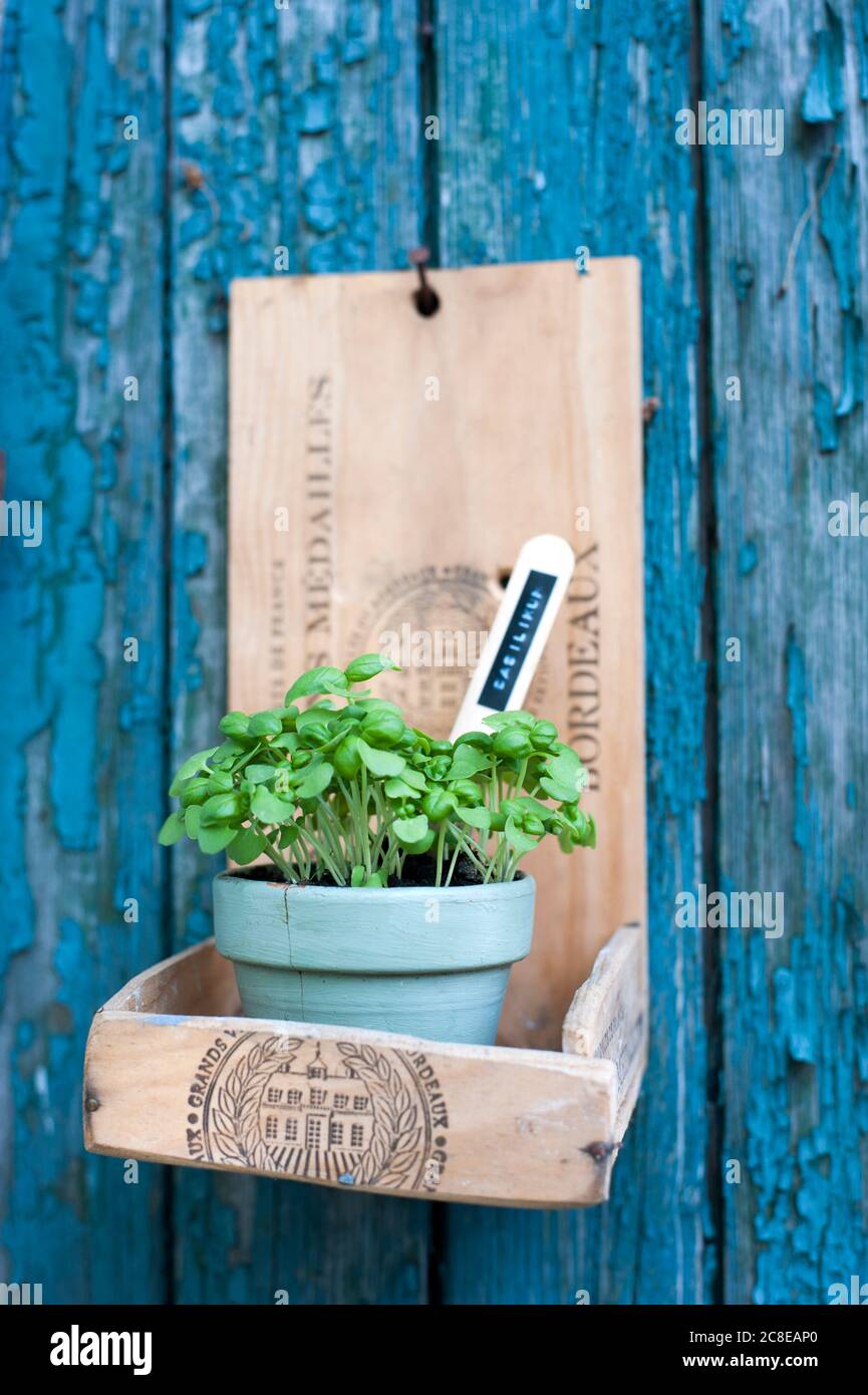 Potted basil wooden box hi-res stock photography and images - Alamy