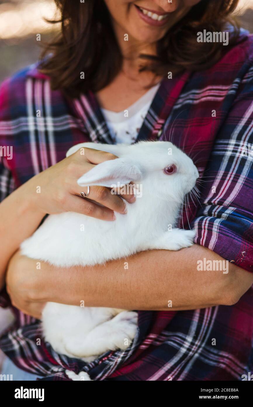 Smiling rabbit hi-res stock photography and images - Alamy