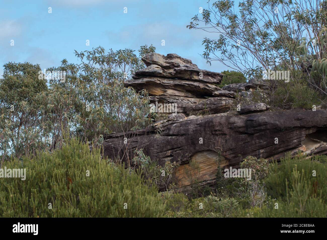 Sandstone Rock Outcrop in Royal National Park, Sydney Australia Stock ...