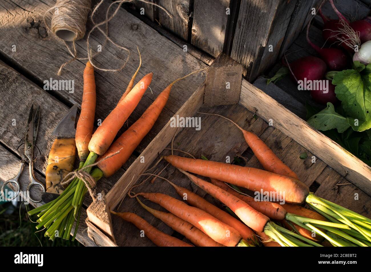 Fresh vegetables on rustic wooden background. Concept for farming and ...