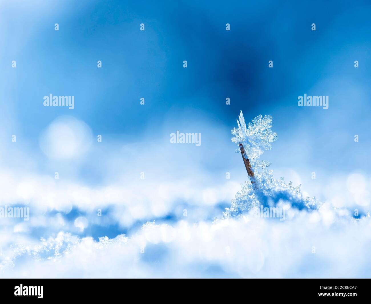 Small ice crystals Stock Photo - Alamy