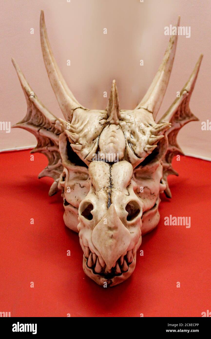 Fantasy dragon skull on red and white background Stock Photo - Alamy