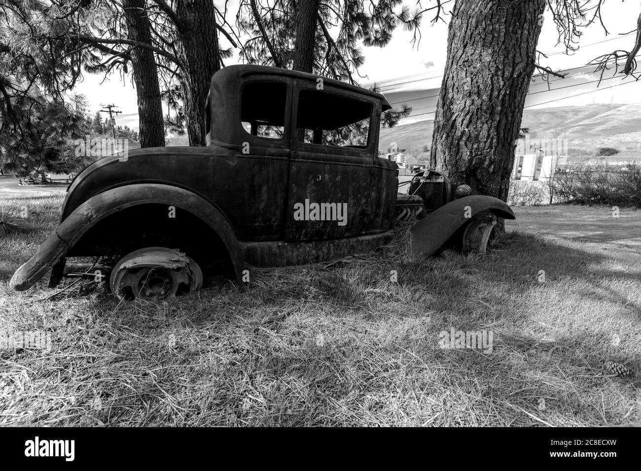 ld Car on a Tree Stock Photo - Alamy