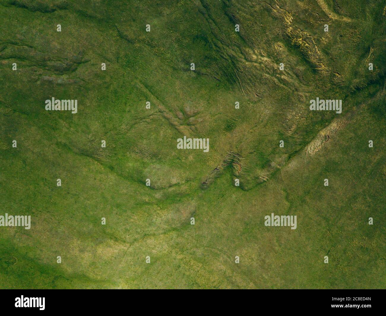 Aerial landscape of a green field, top view of beautiful nature texture ...