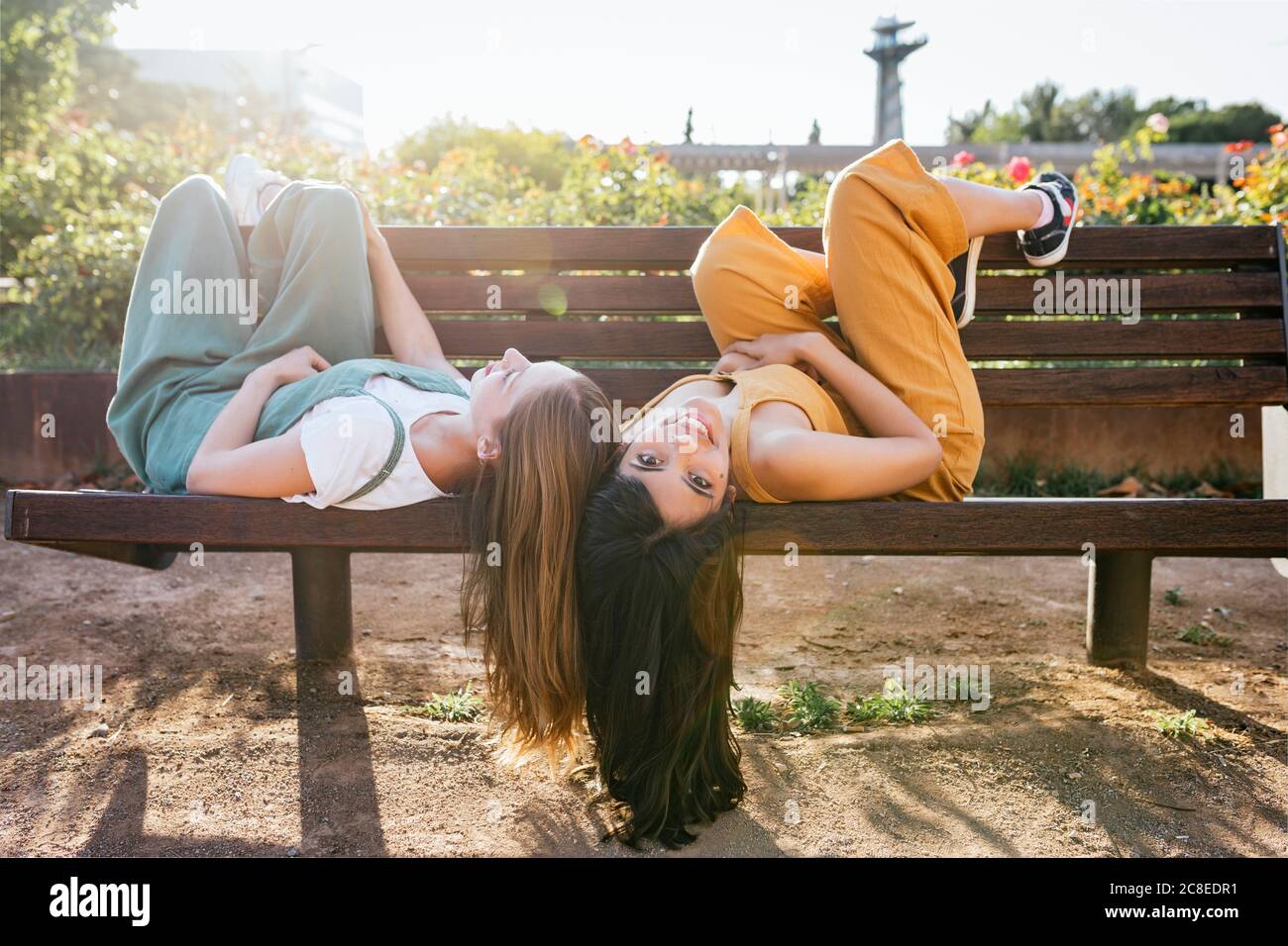 shadow of two friends Stock Photo - Alamy
