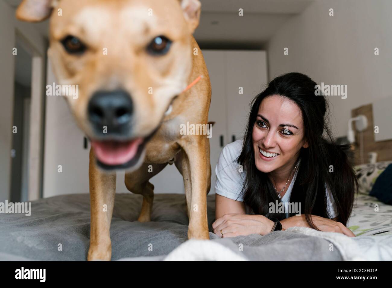 Woman looking her dog hi-res stock photography and images - Alamy