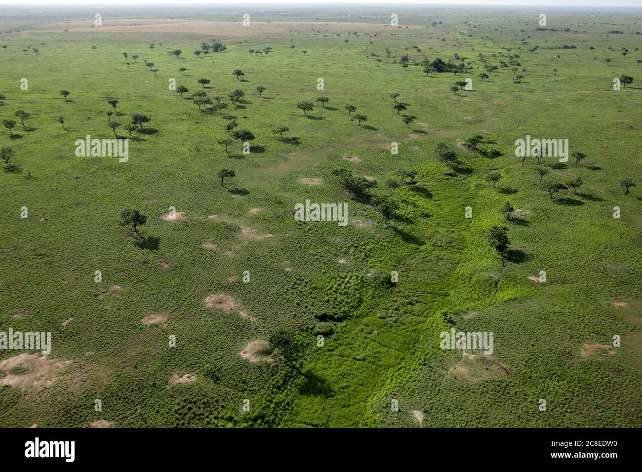 Democratic Republic of Congo, Aerial view of green landscape of Garamba ...