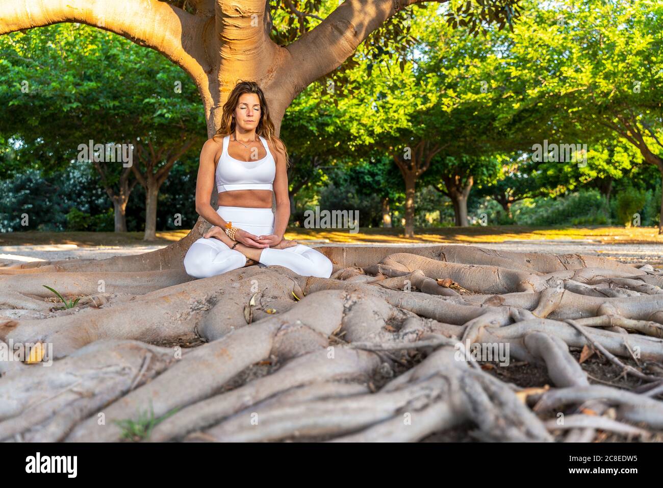 Woman sitting against tree trunk hi-res stock photography and images ...