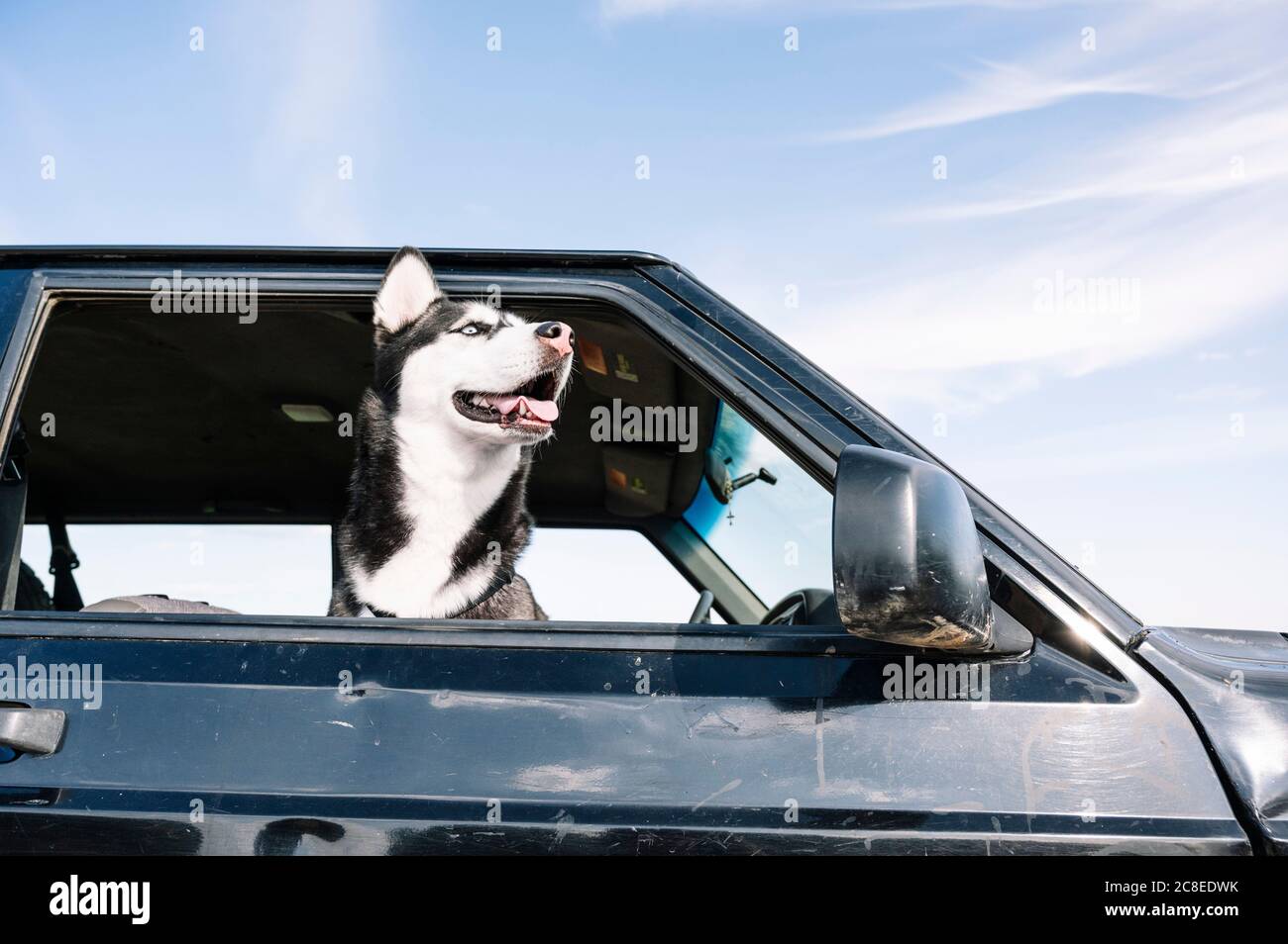 Vehicle window hi-res stock photography and images - Alamy