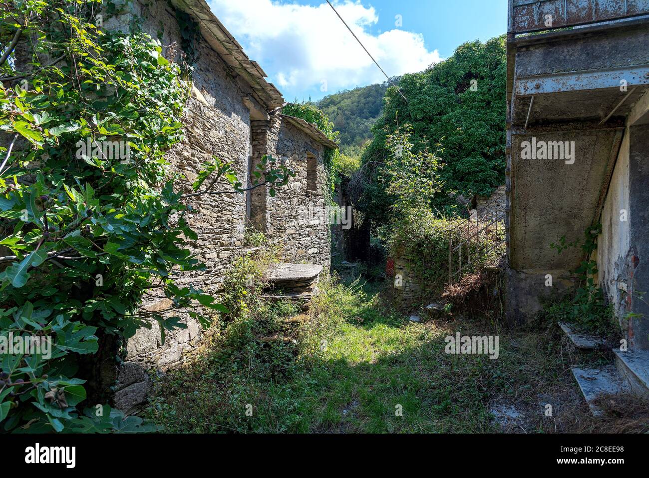 Orero hi-res stock photography and images - Alamy