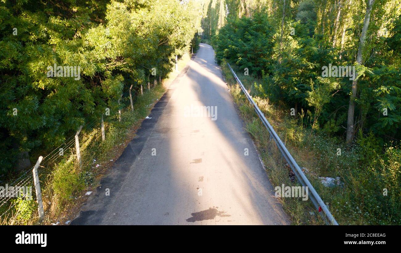 Aerial view forest pathway hi-res stock photography and images - Alamy