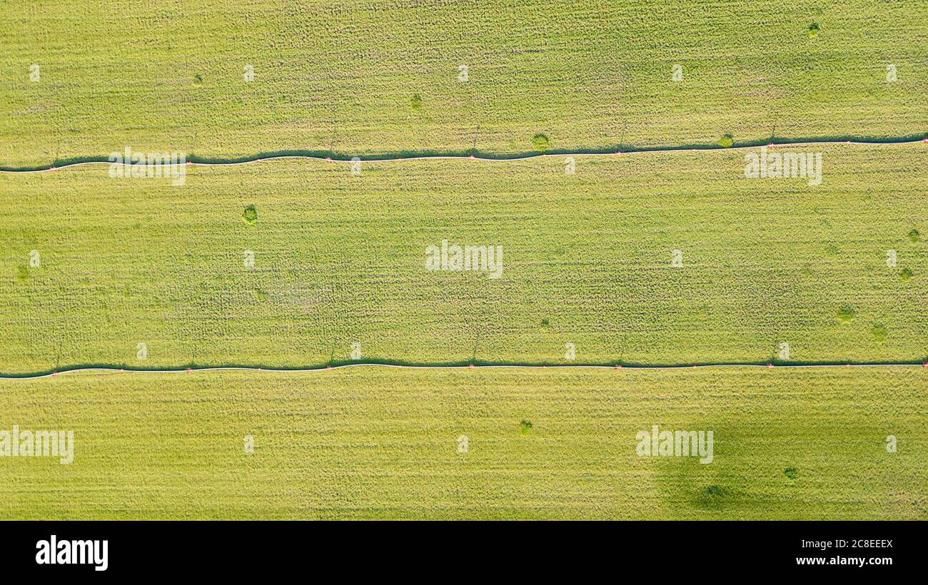 Aerial view of the grass field at the sunset. irrigation system can be ...