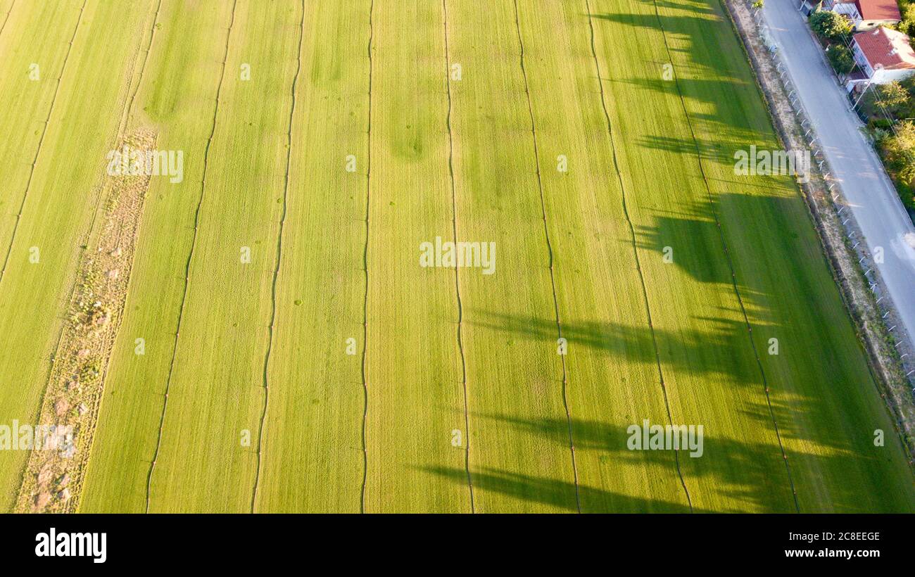 Aerial view of the grass field at the sunset. irrigation system can be ...