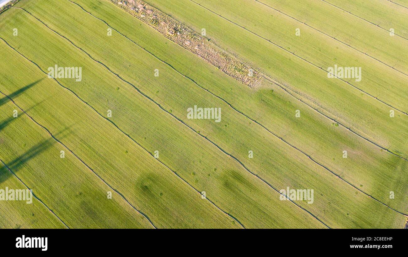 Aerial view of the grass field at the sunset. irrigation system can be ...