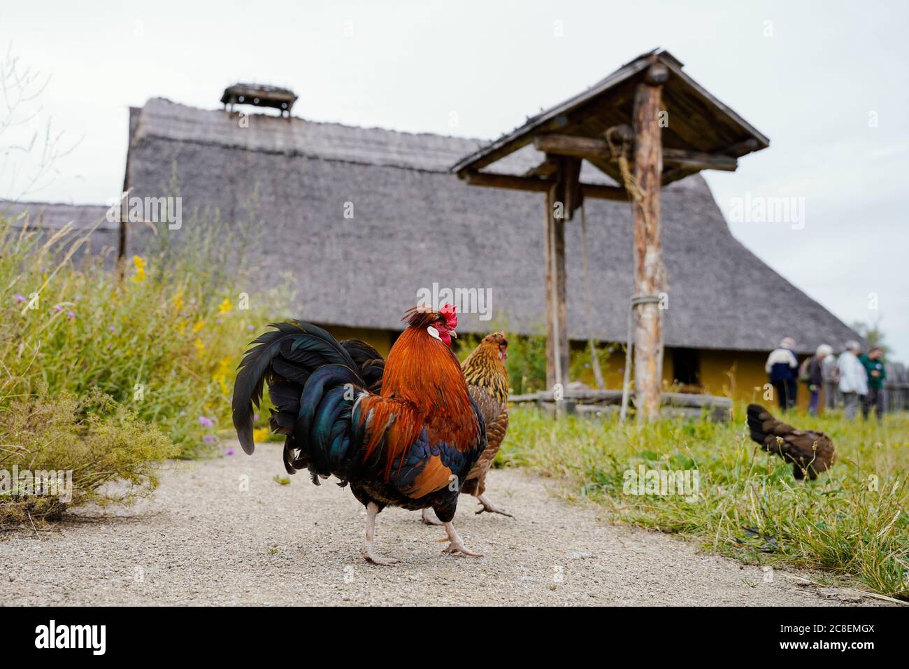 Lorsch, Germany. 08th July, 2020. In the Lauresham open-air laboratory ...