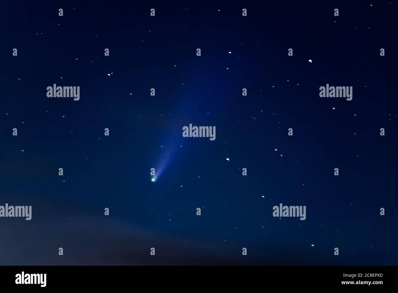Neowise comet in the starry sky. Astrophotography - a view of a bright ...