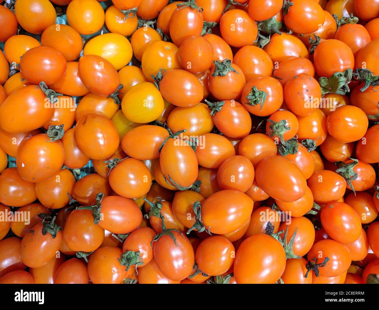 small orange tomatoes in the supermarket Stock Photo - Alamy
