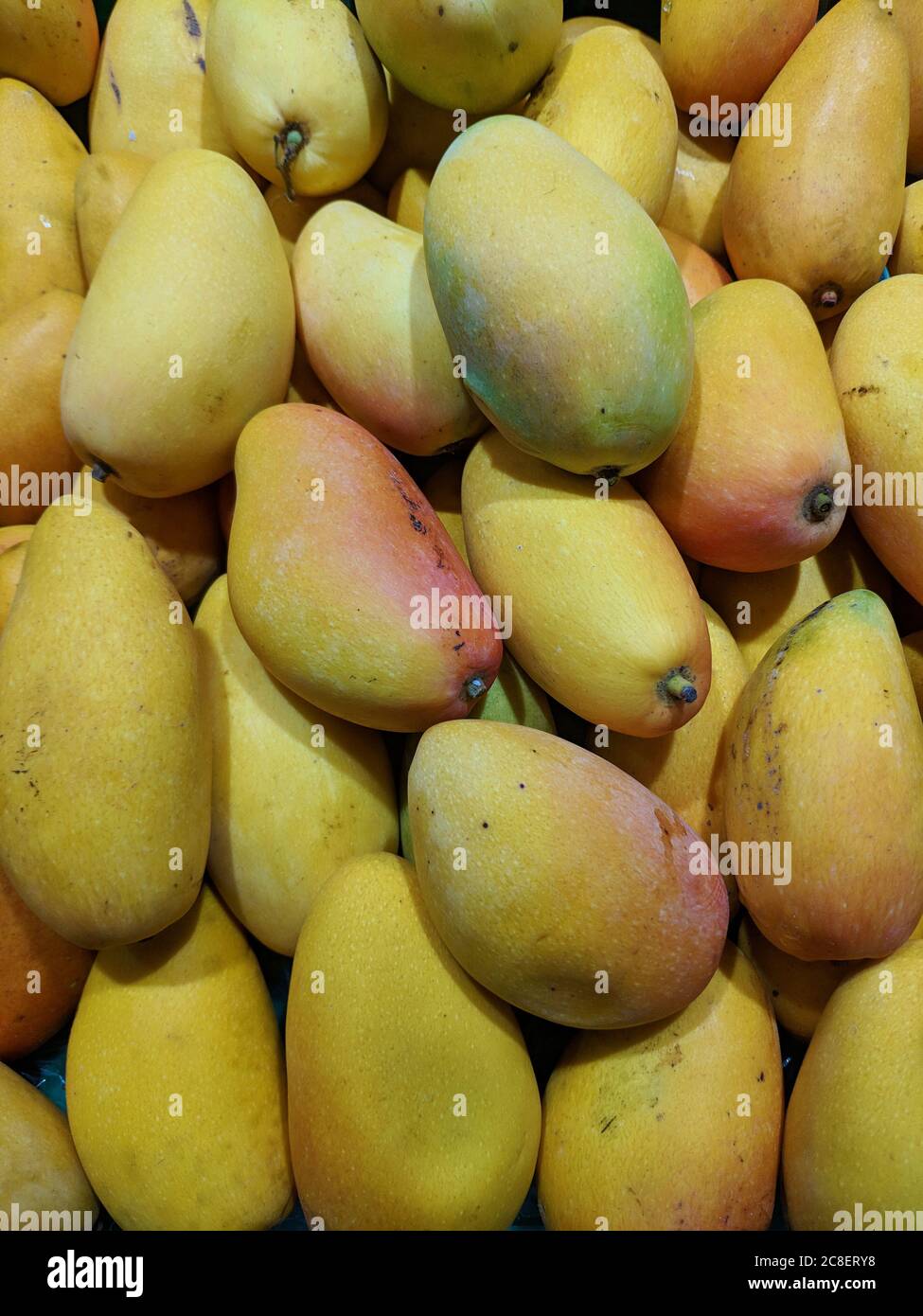 yellow fresh mangoes on market stall under bright light Stock Photo - Alamy