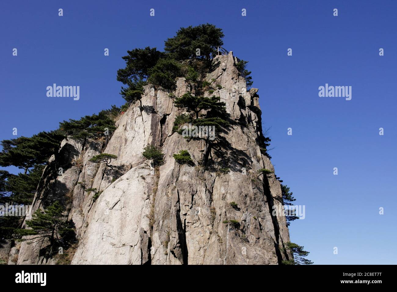 Huangshan pine tree yellow mountain hi-res stock photography and images ...