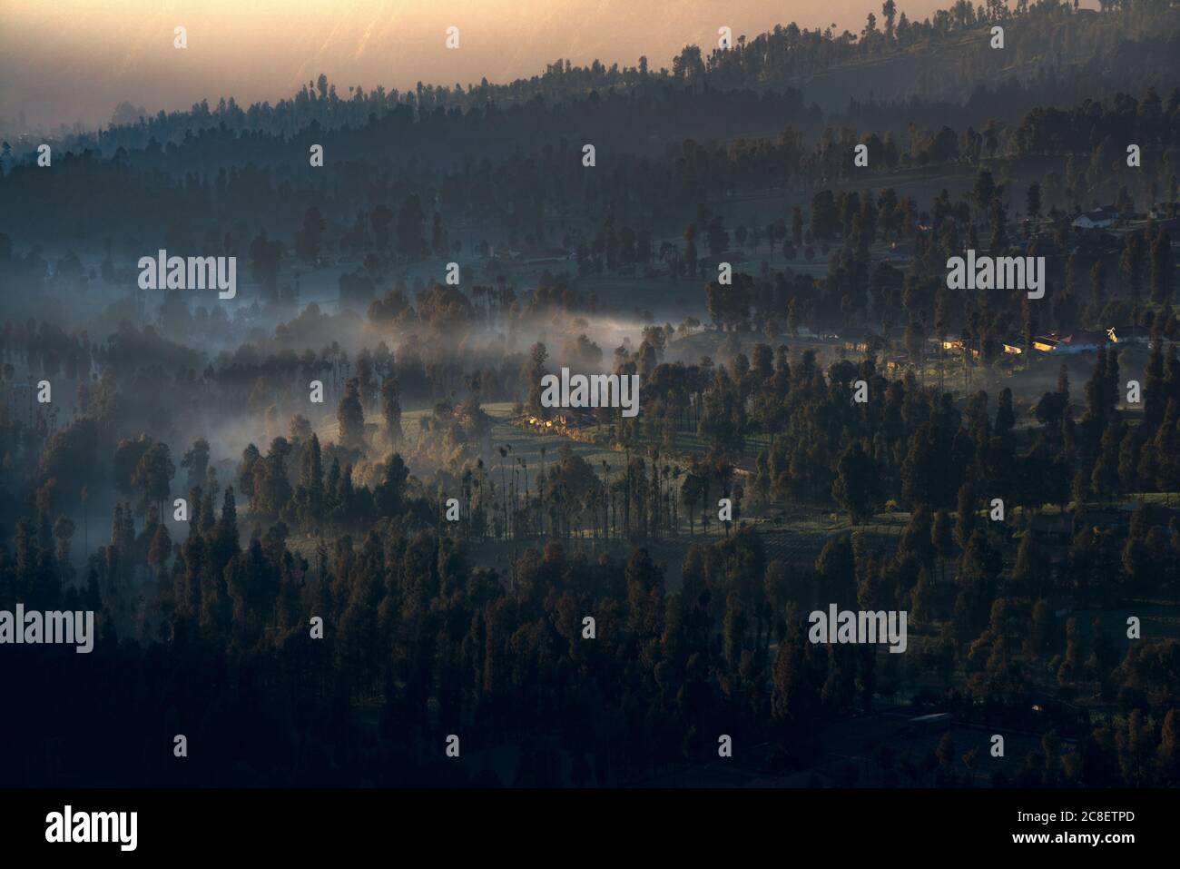 The scenery of the village in the forest on the Java island in ...