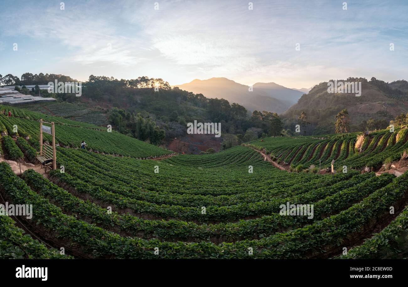 Ang village hi-res stock photography and images - Alamy