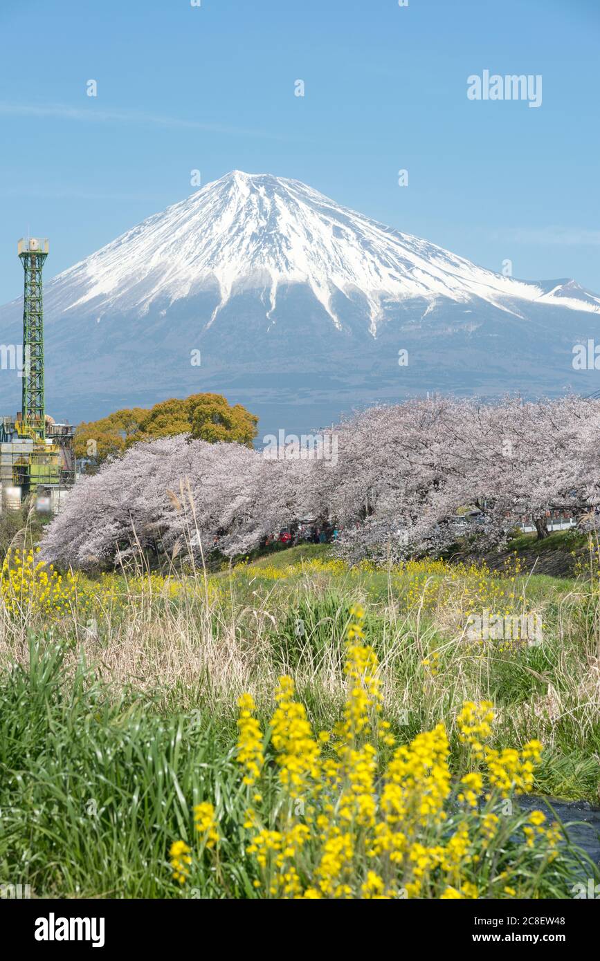 Urui river hi-res stock photography and images - Alamy