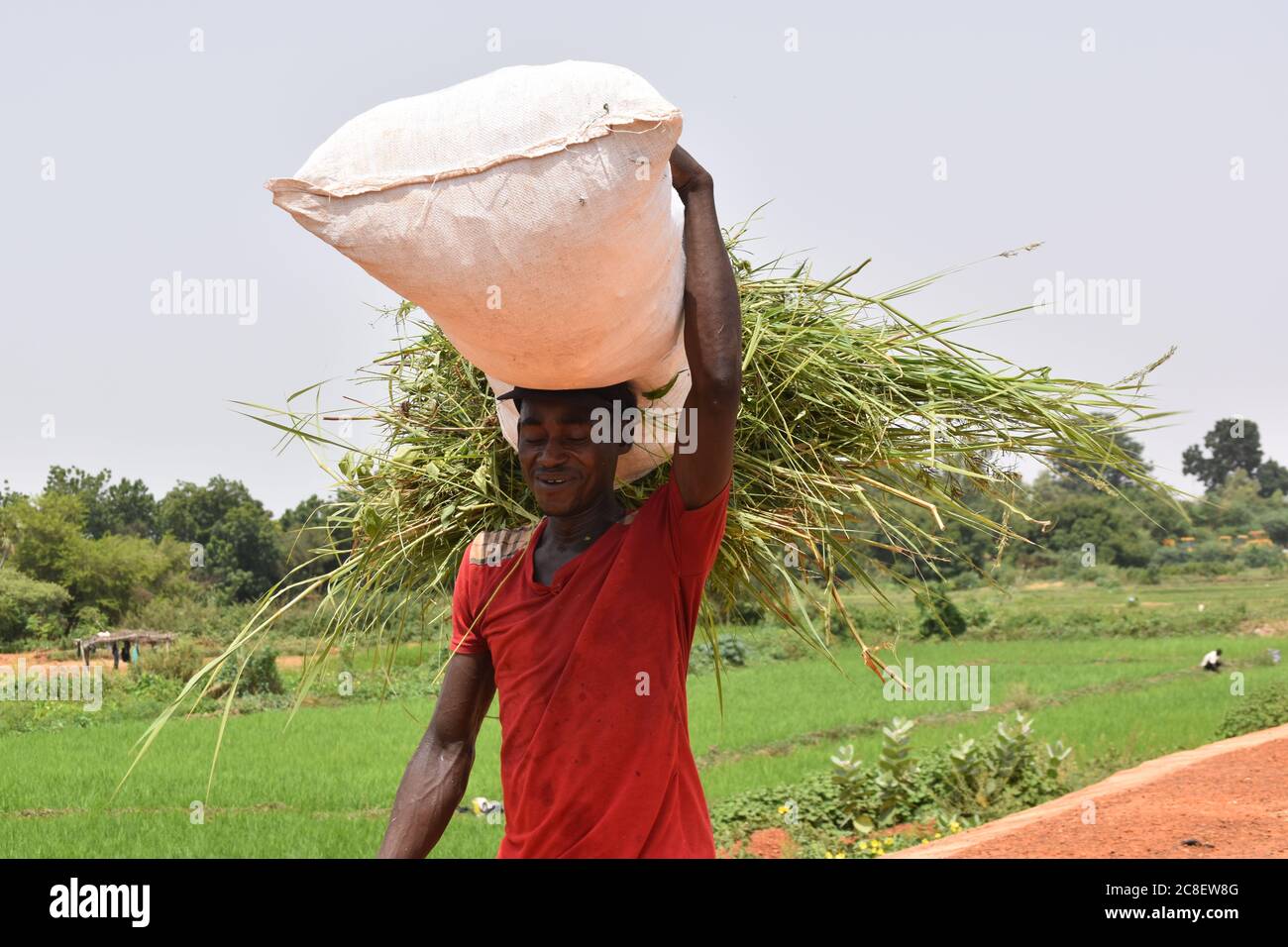 Man carrying large sack hi-res stock photography and images - Alamy