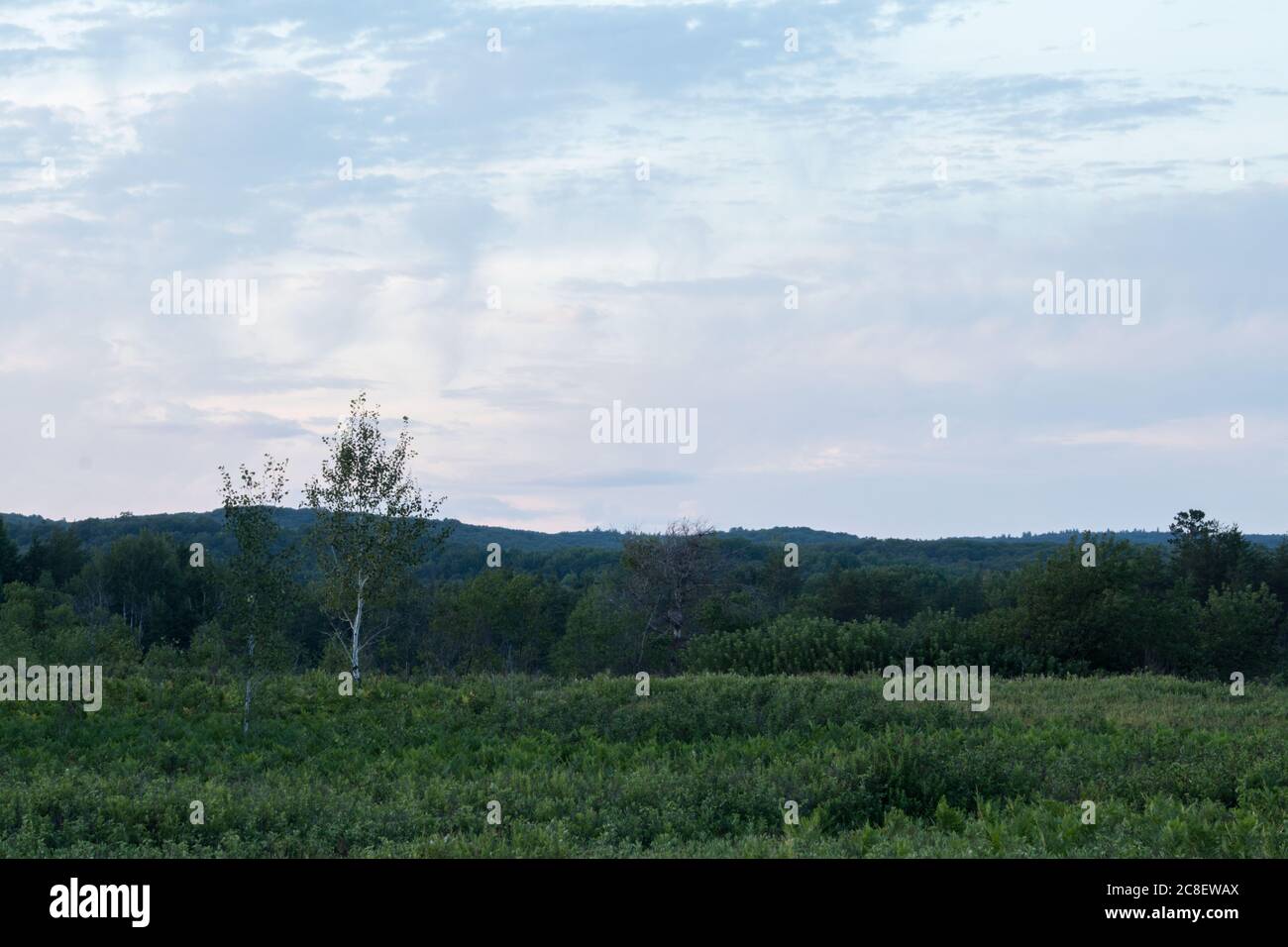 soft clouds and green landscape Stock Photo - Alamy
