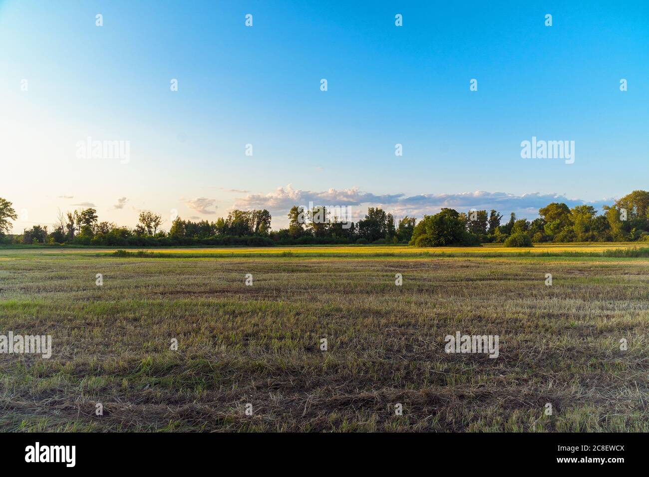Sunlight cloud in forest hi-res stock photography and images - Alamy
