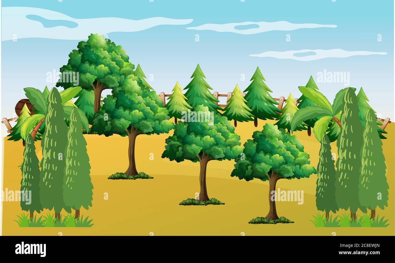 Stone desert landscape cactus Cut Out Stock Images & Pictures - Alamy