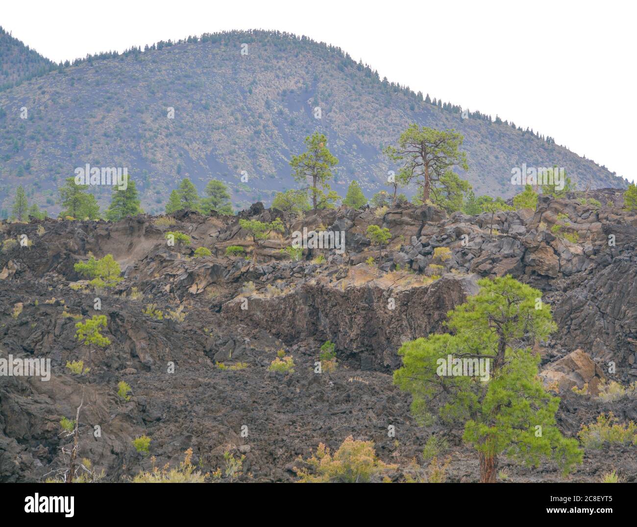 Sunset Crater Volcano Lava Pool, formed from the Bonito's Lava Flow ...