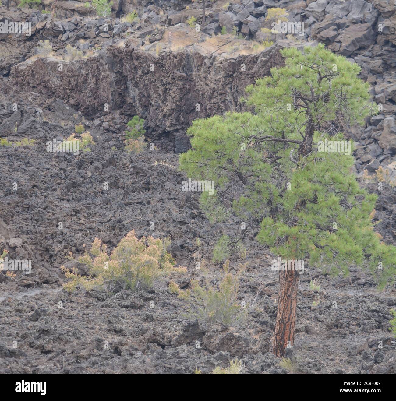 Sunset Crater Volcano Lava Pool, formed from the Bonito's Lava Flow ...
