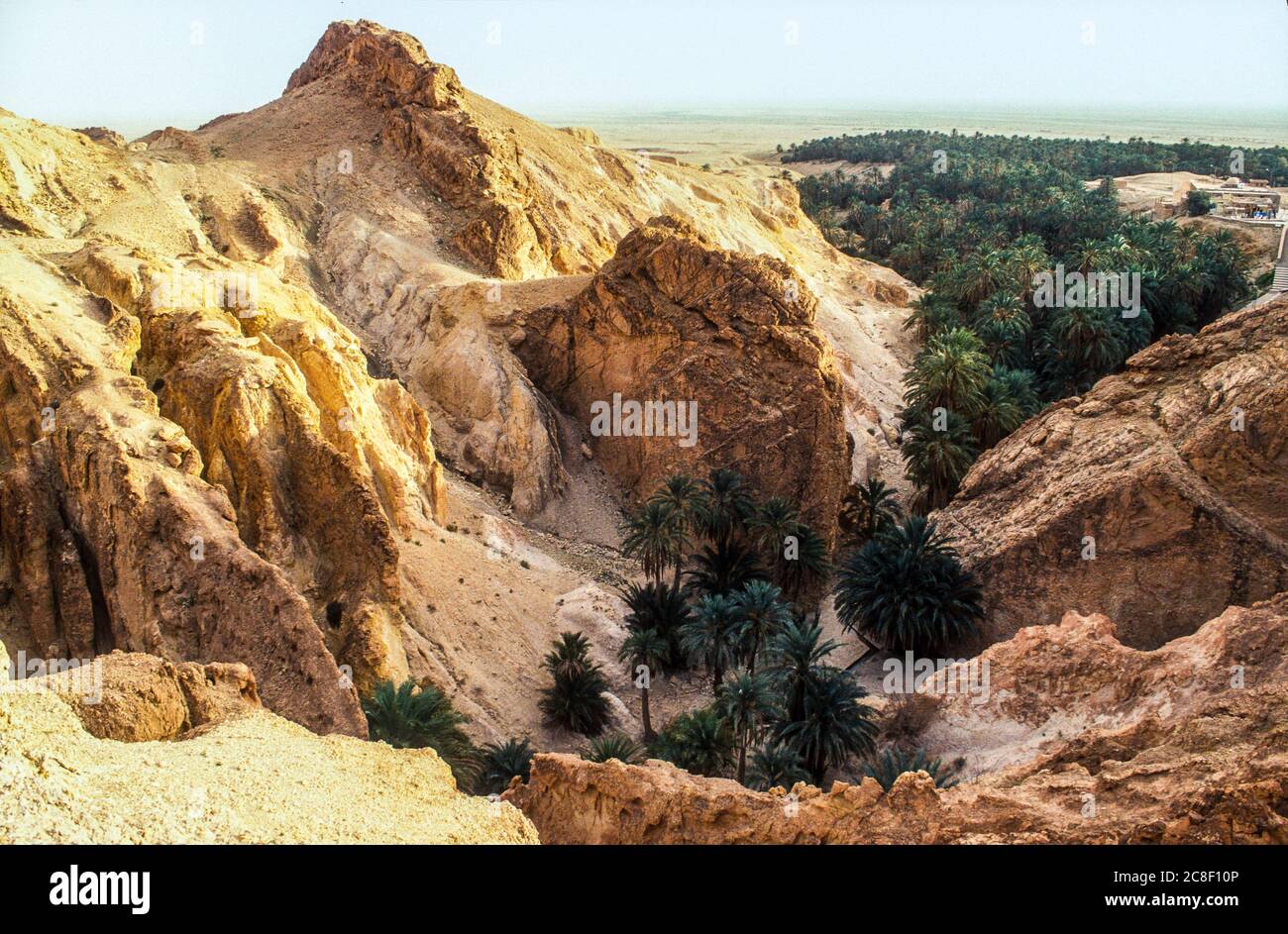 Chibeka, El Jerid, Tunisia. Palm groves spill out of the Jebel en-Nebeb ...