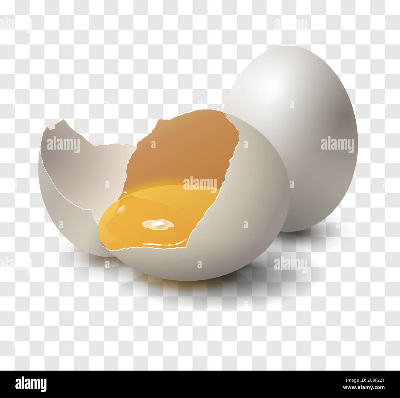 Realistic Egg Stock Vector Images - Alamy