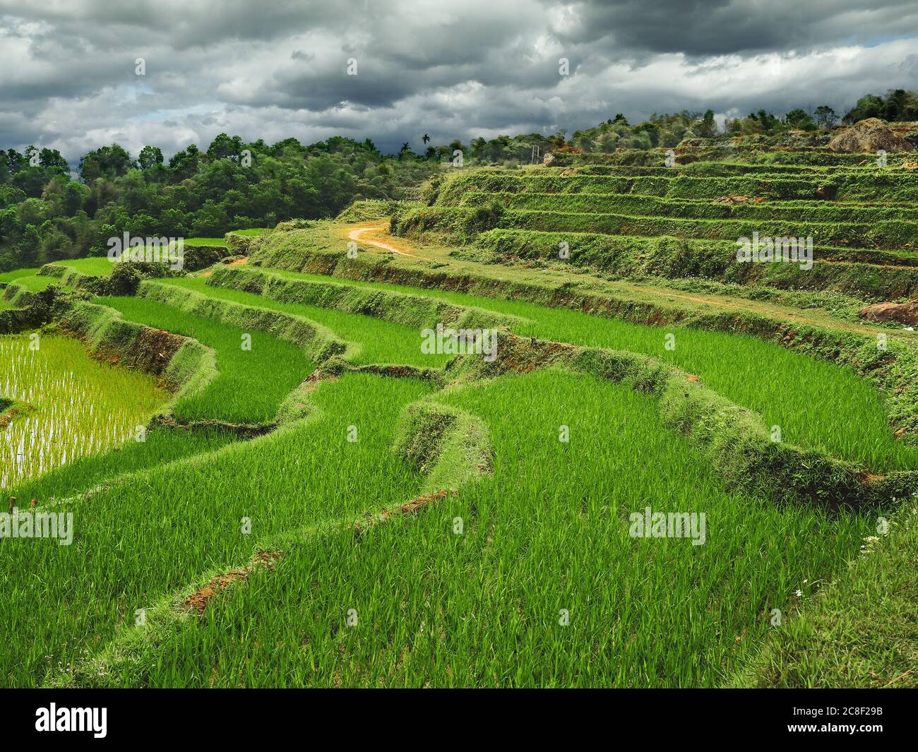 Mai chau field hi-res stock photography and images - Alamy