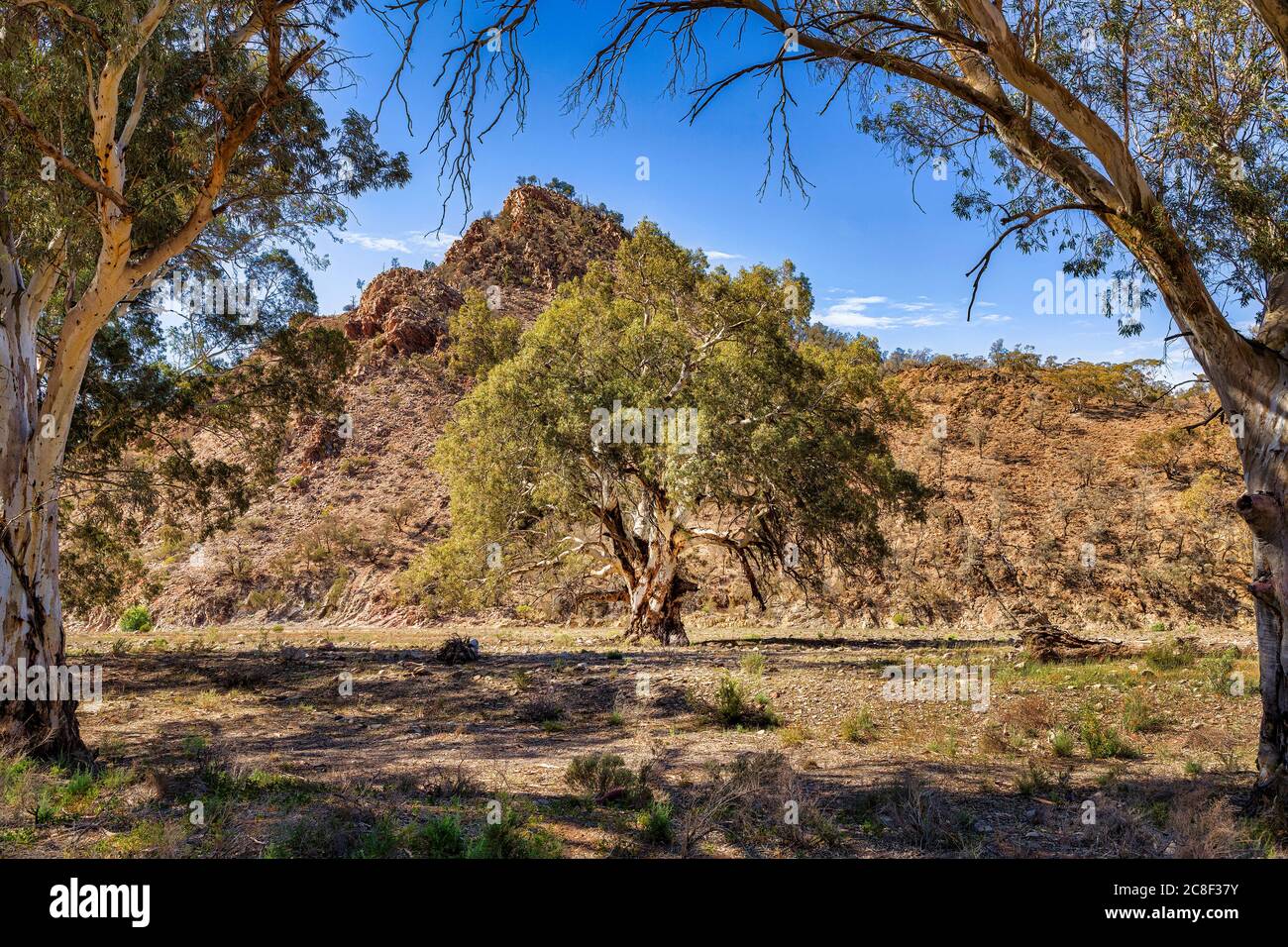 Flinders ranges landscape hi-res stock photography and images - Alamy