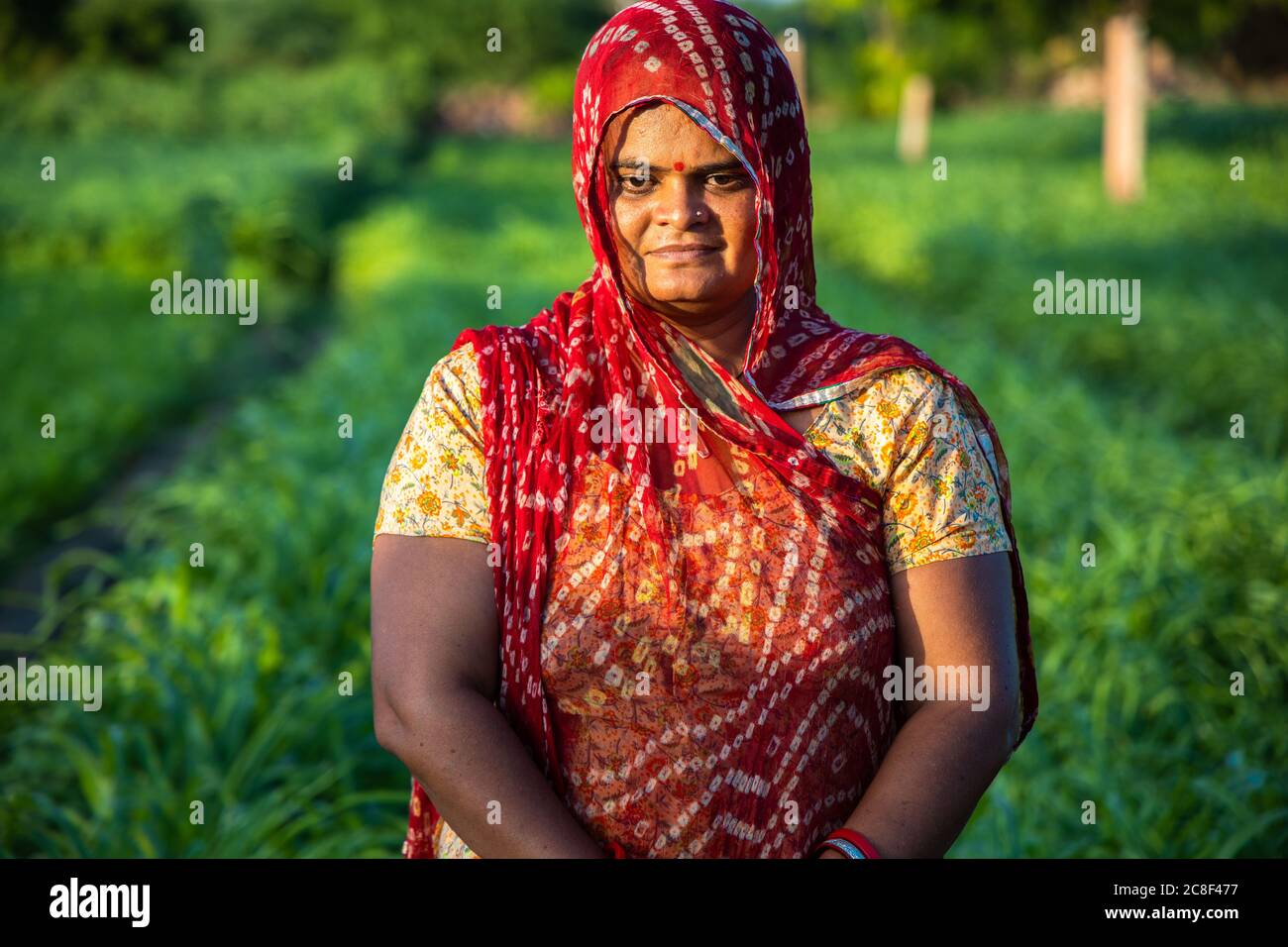 Indian lady farmer hi-res stock photography and images - Alamy